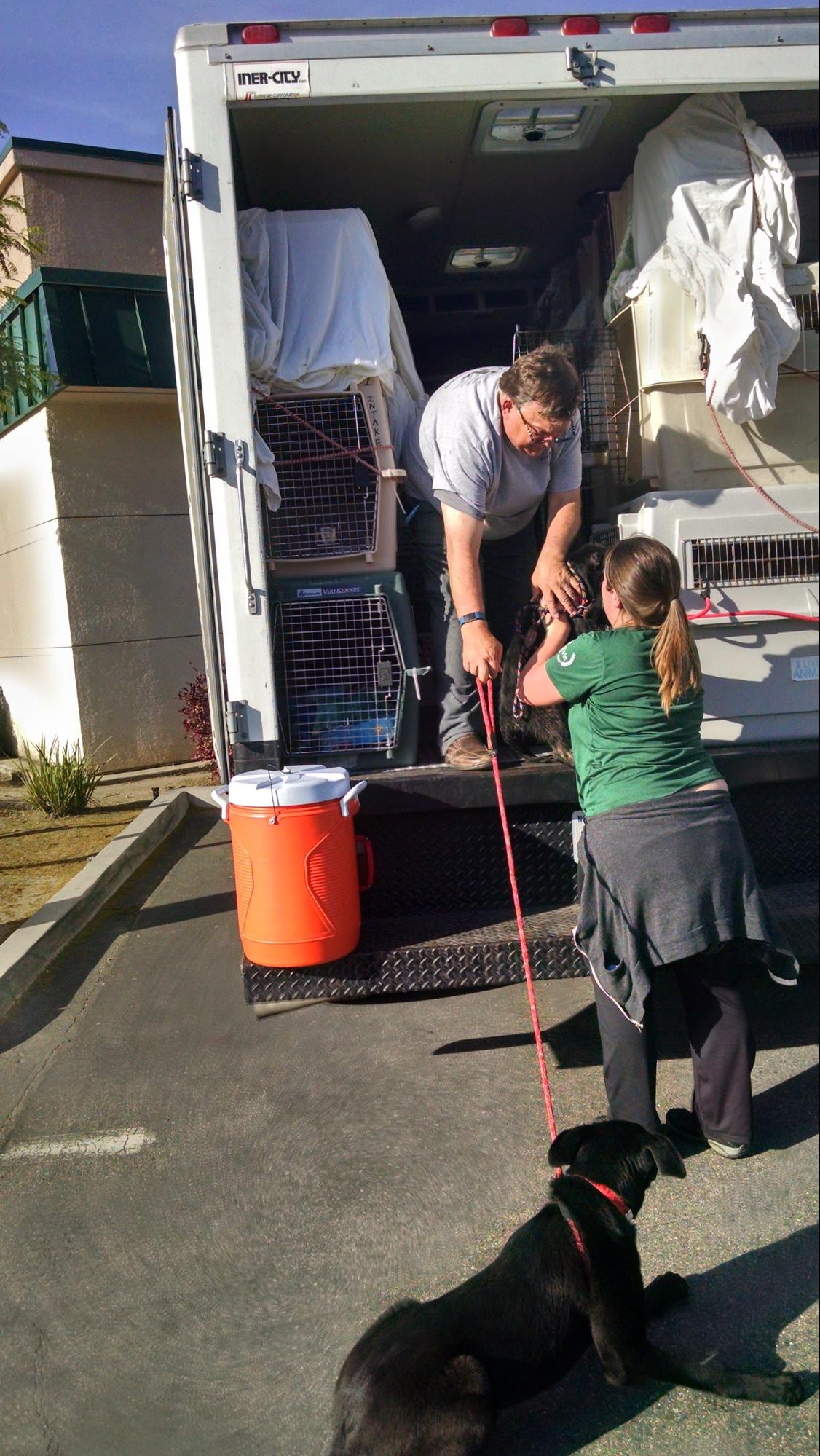 CCSPCA Rescue Tails – Central California SPCA, Fresno, CA