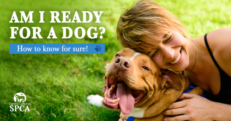 Am I ready for a dog? How to know for sure! – Central California SPCA ...