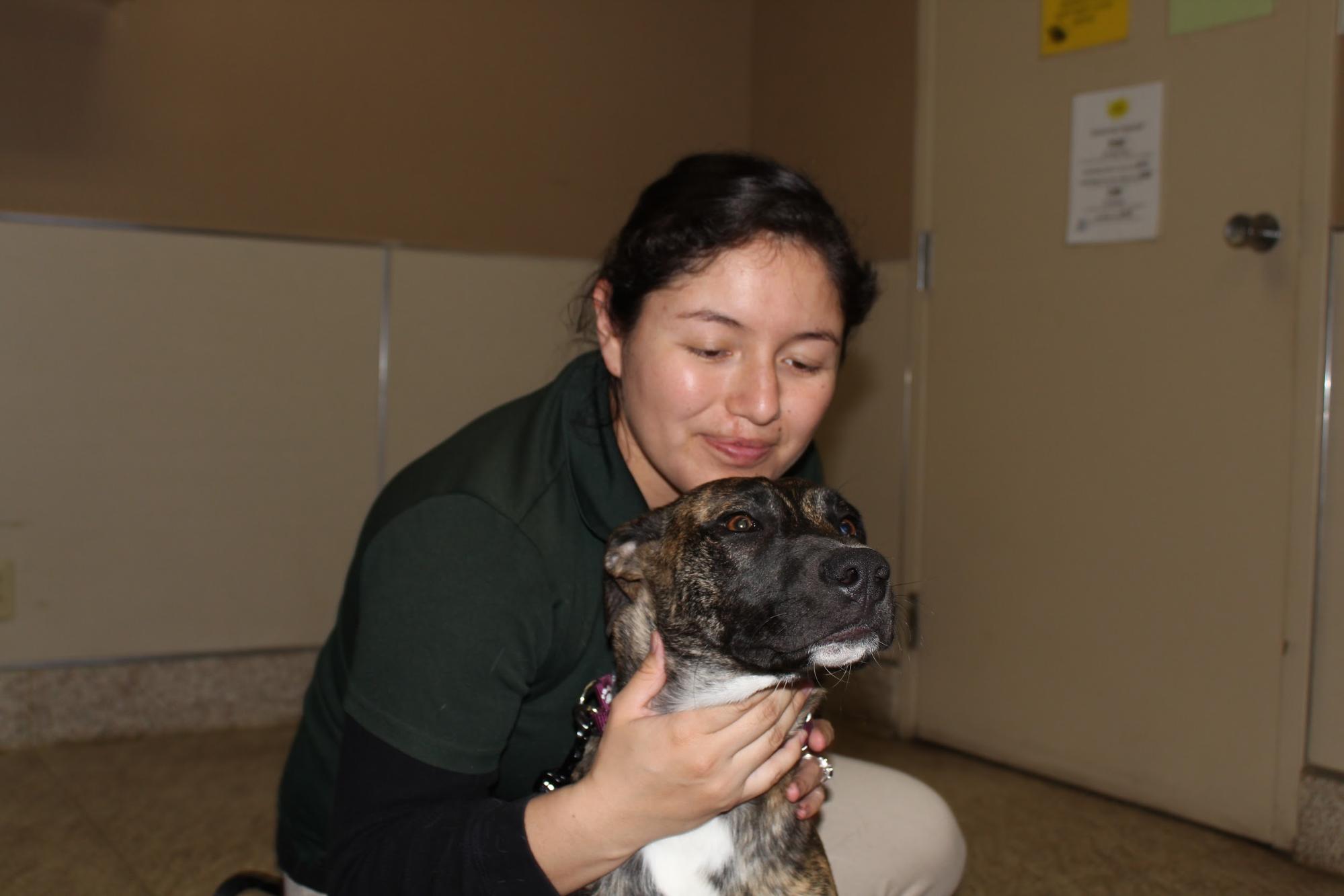 World Spay Day Recap – Central California SPCA, Fresno, CA