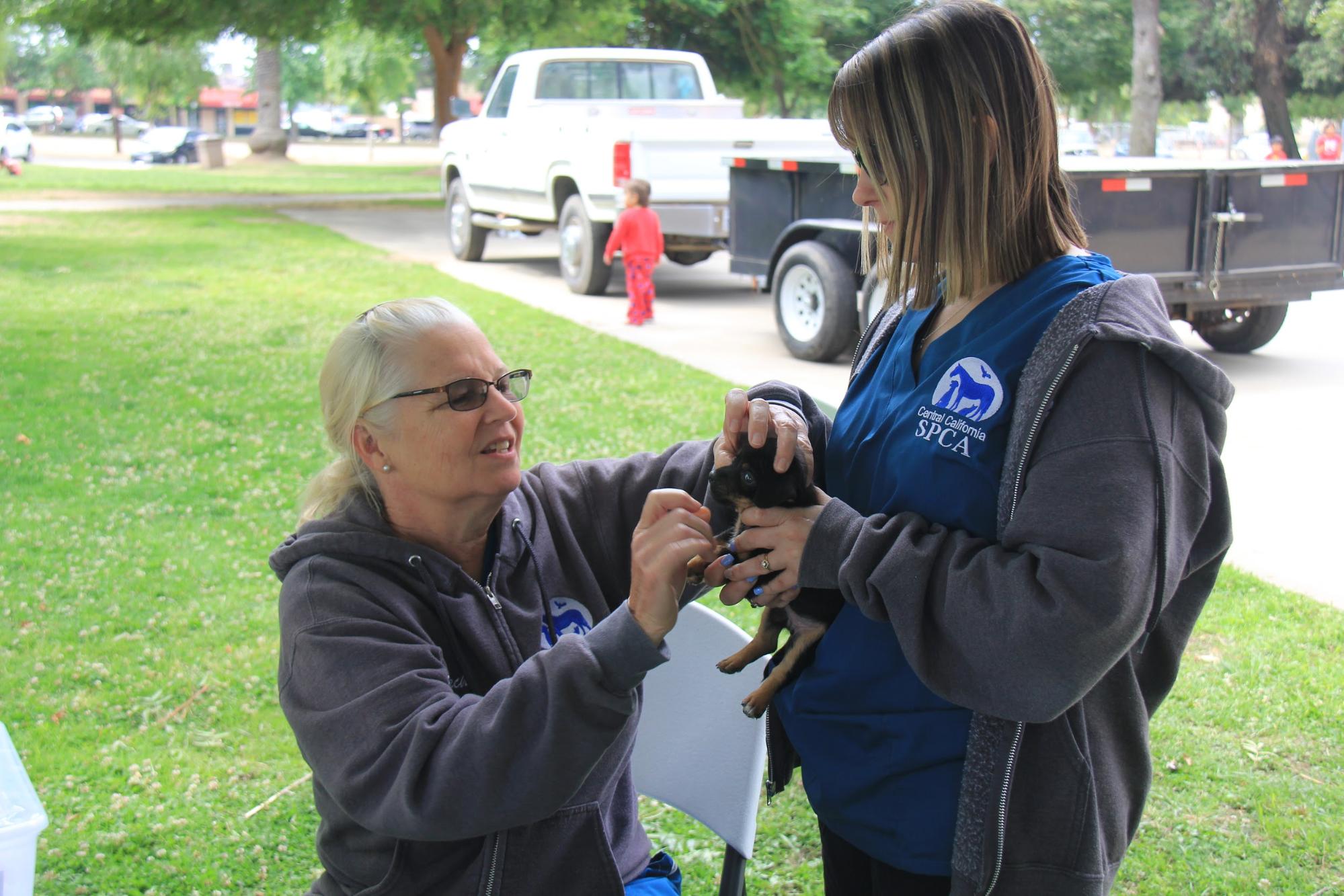 CCSPCA Helps Nearly 150 Dogs at Parlier Vaccination Clinic! – Central ...