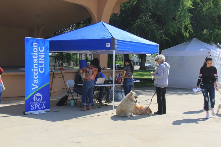 CCSPCA Helps Nearly 150 Dogs at Parlier Vaccination Clinic! – Central ...