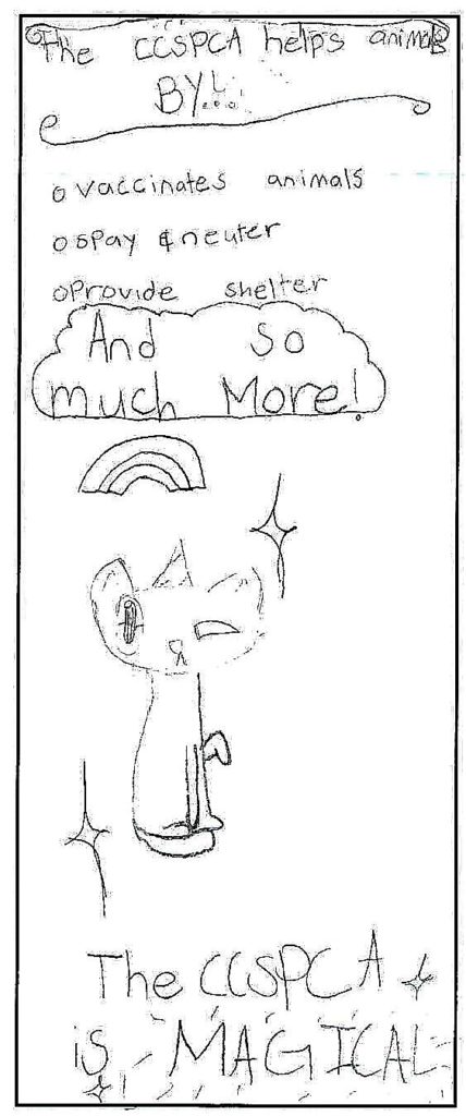 Bookmark and Video Contest Winners Awarded – Central California SPCA ...